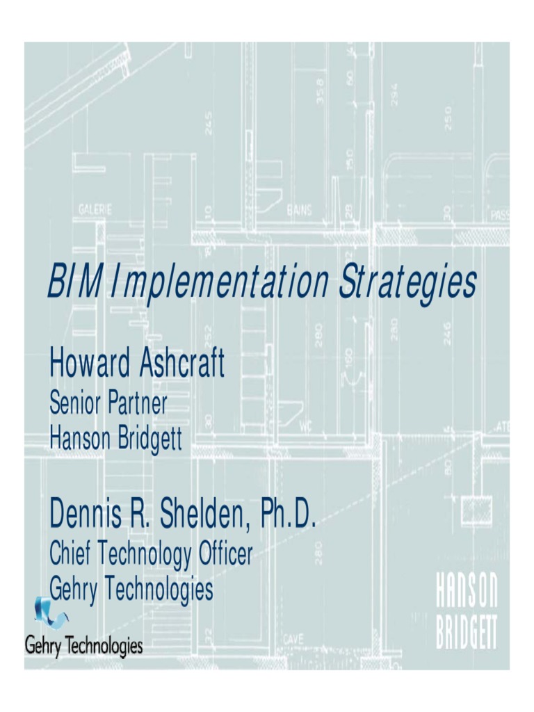 BIM Implementation Strategies.pdf | Building Information Modeling | Architect