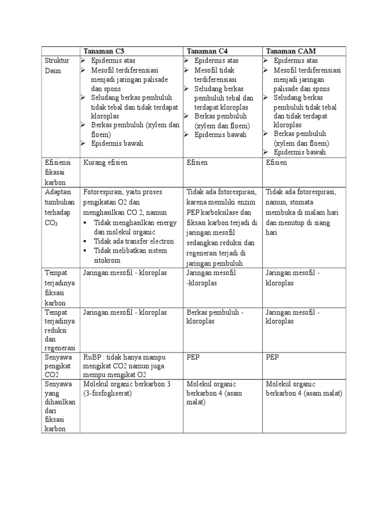Tabel C3, C4 Dan CAM | PDF