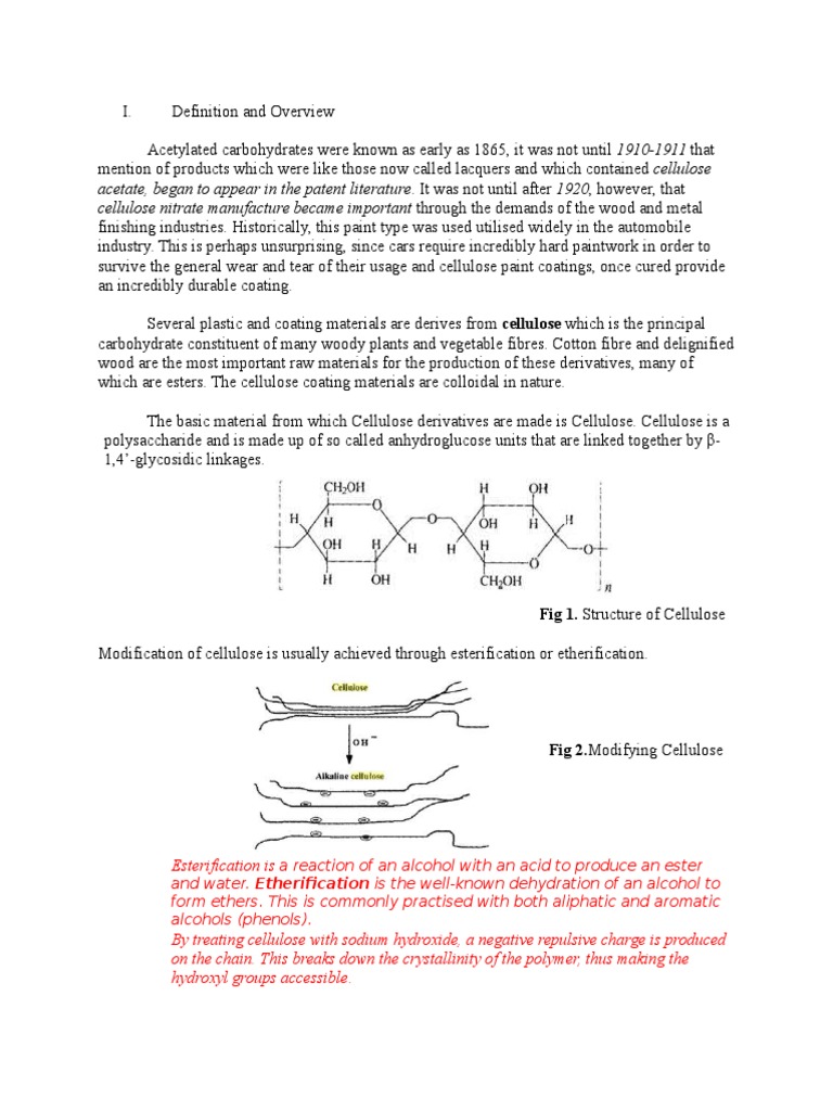 Cellulose Based Coatings | PDF | Cellulose | Paint