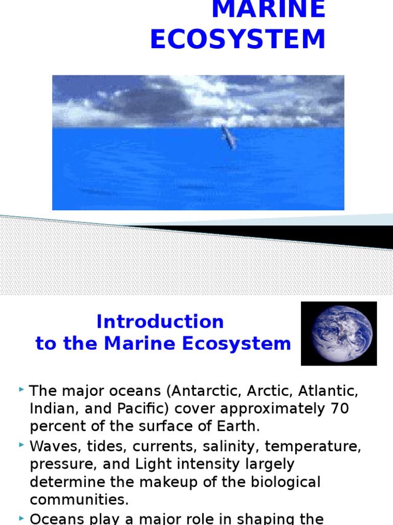Marine Ecosystem | PDF