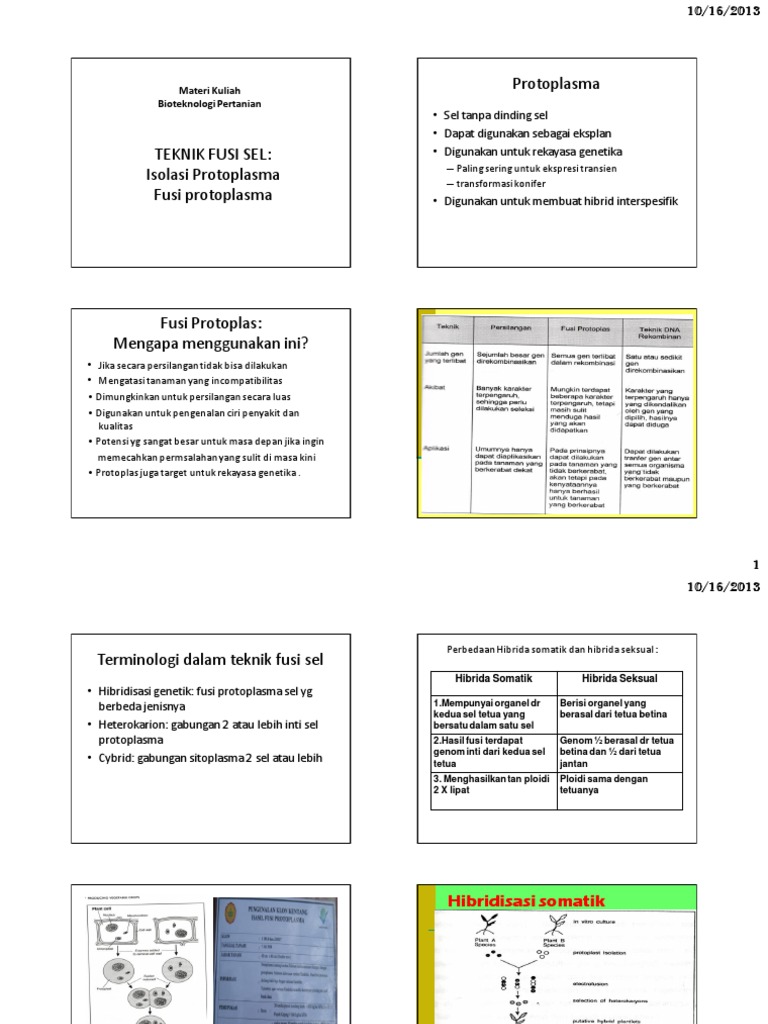7 Fusi Protoplas PDF | PDF