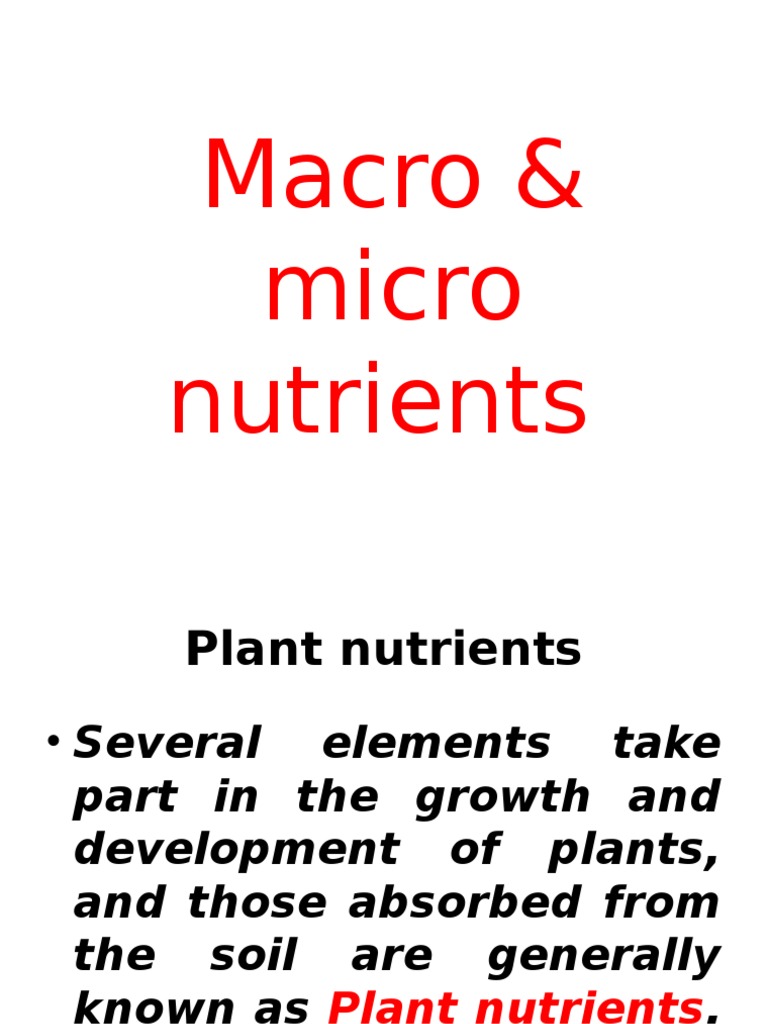 Micro Nutrients & Macro Nutrients | Plant Nutrition | Nutrients