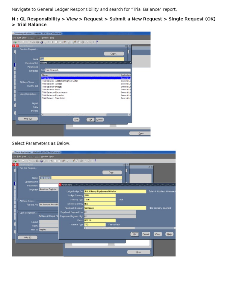 How To Run Trial Balace Report. | PDF