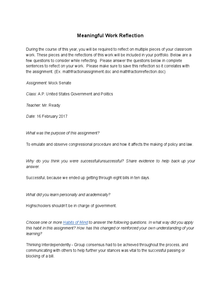 Meaningful Work Reflection - Alexander Suarez | PDF