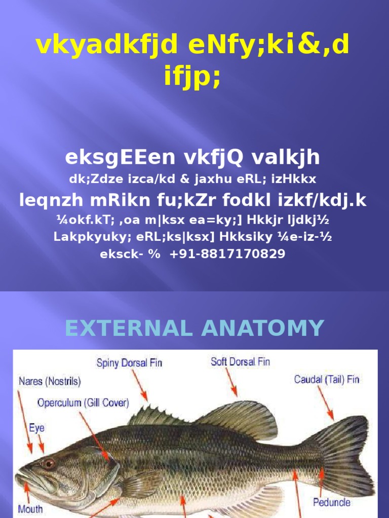 1 Ornamental Fishes - An Introduction | PDF