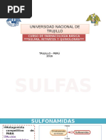 Prospecto NIFURYL | PDF | Infección del tracto urinario ...