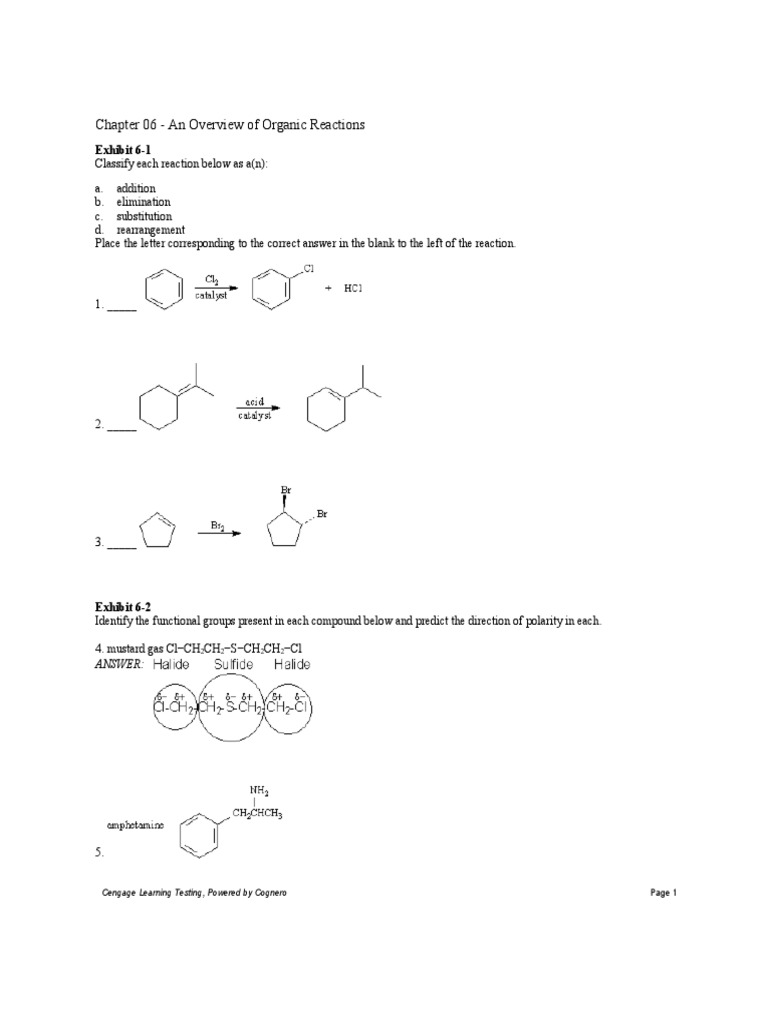 CHP 6 Class Review Chem | PDF | Chemical Reactions | Catalysis