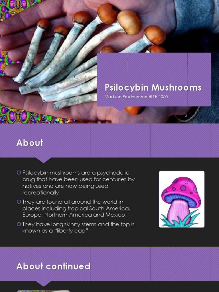 Shroom Powerpoint HLTH 1050 | PDF | Psilocybin | Psychoactive Drugs