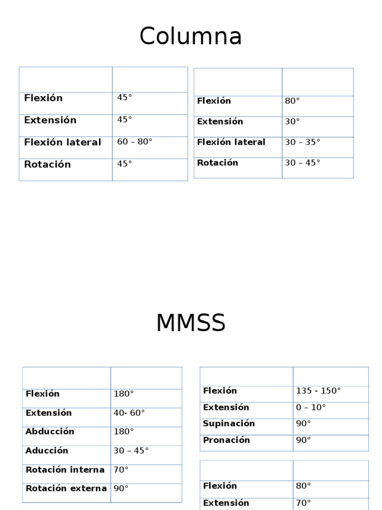 Rangos de Movimiento | PDF