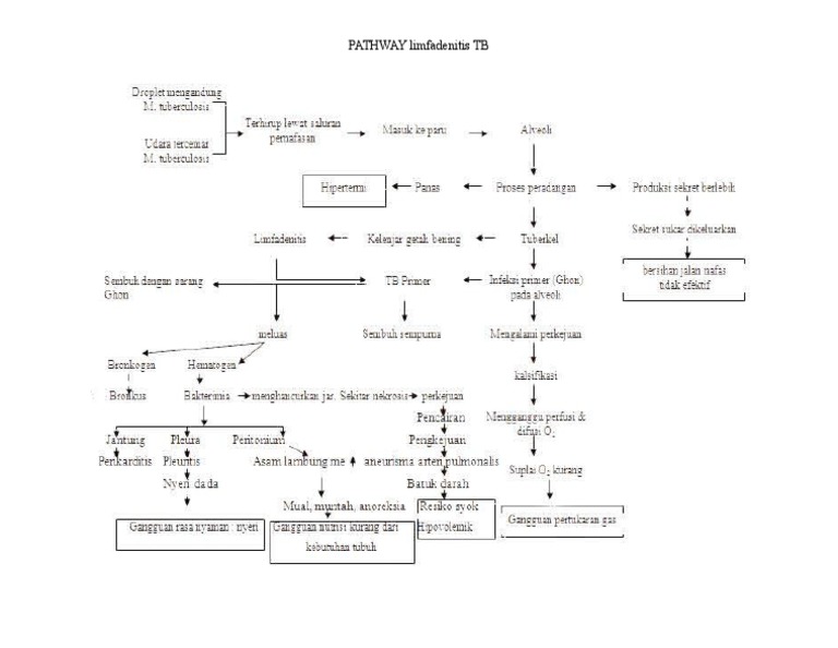 Patway Limfadenitis | PDF