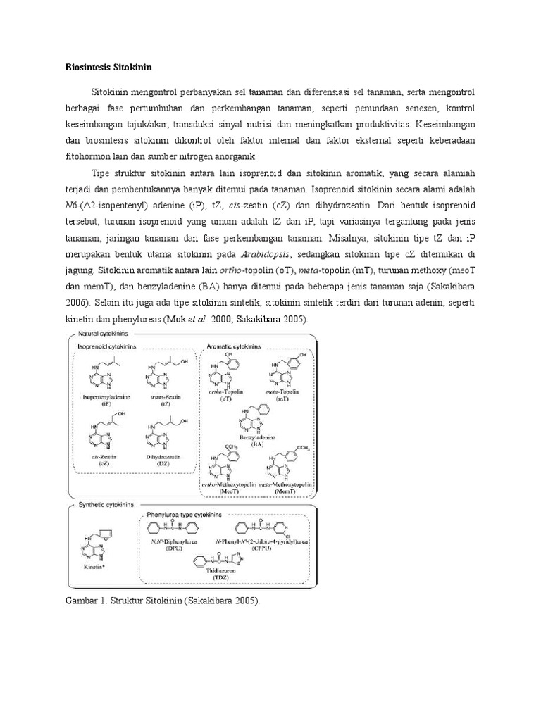 Tugas Biosintesis Sitokinin | PDF