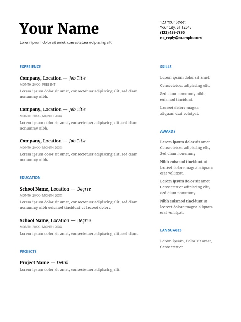 Professional Resume Template | PDF | Text