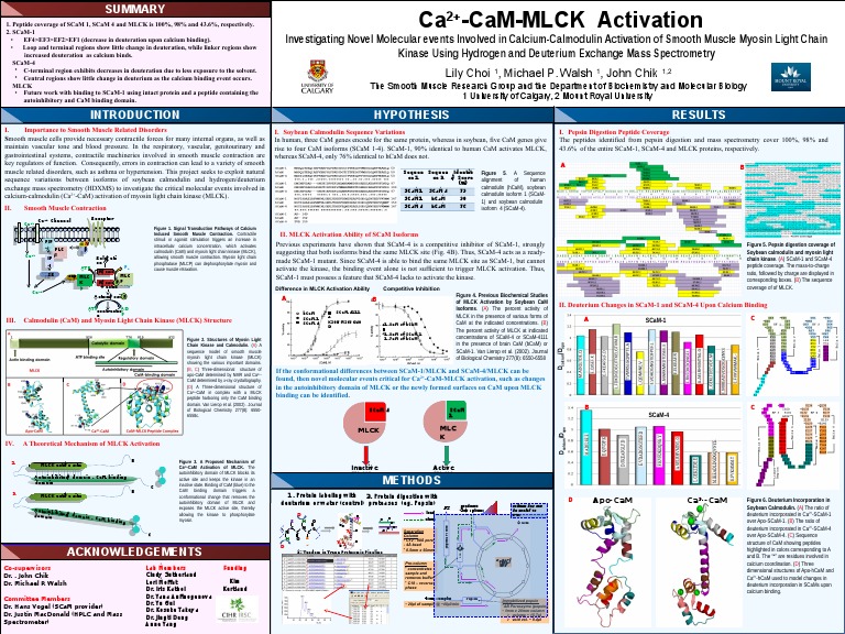 Asms Poster | PDF | Smooth Muscle Tissue | Protein Domain