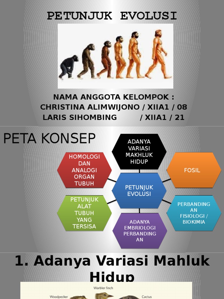 Petunjuk Evolusi (Revisi) | PDF | Sains & Matematika
