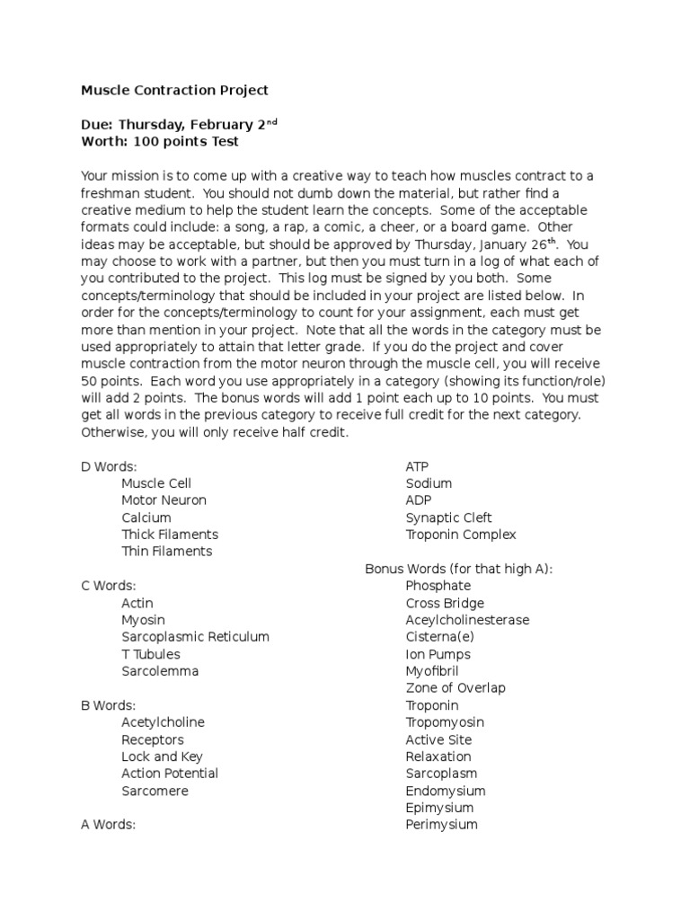 Muscle Contraction Project | PDF | Soft Tissue | Dance Science