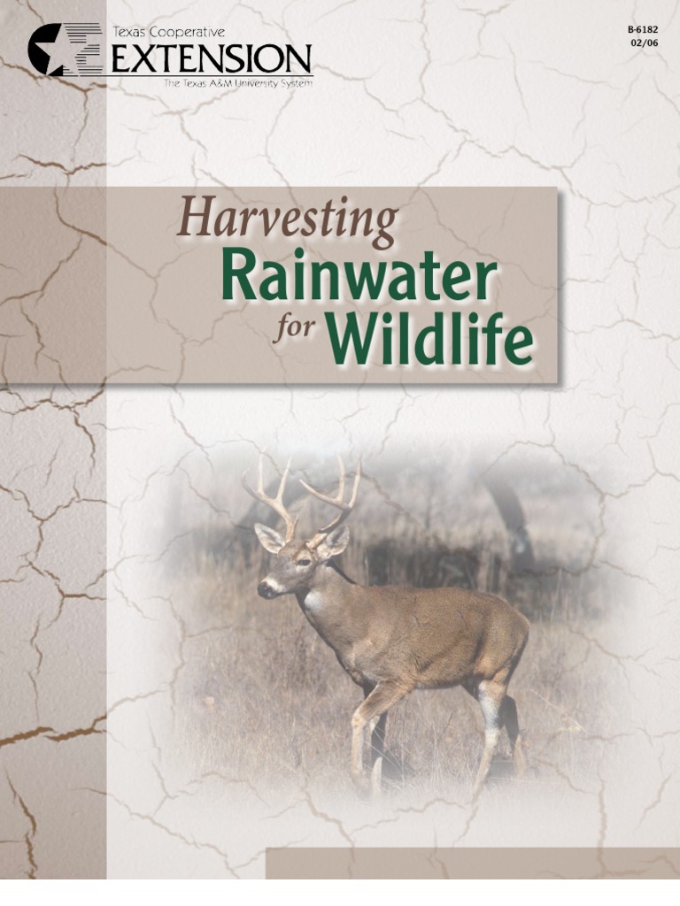 Harvesting Rainwater For Wildlife | PDF | Rain | Pipe (Fluid Conveyance)