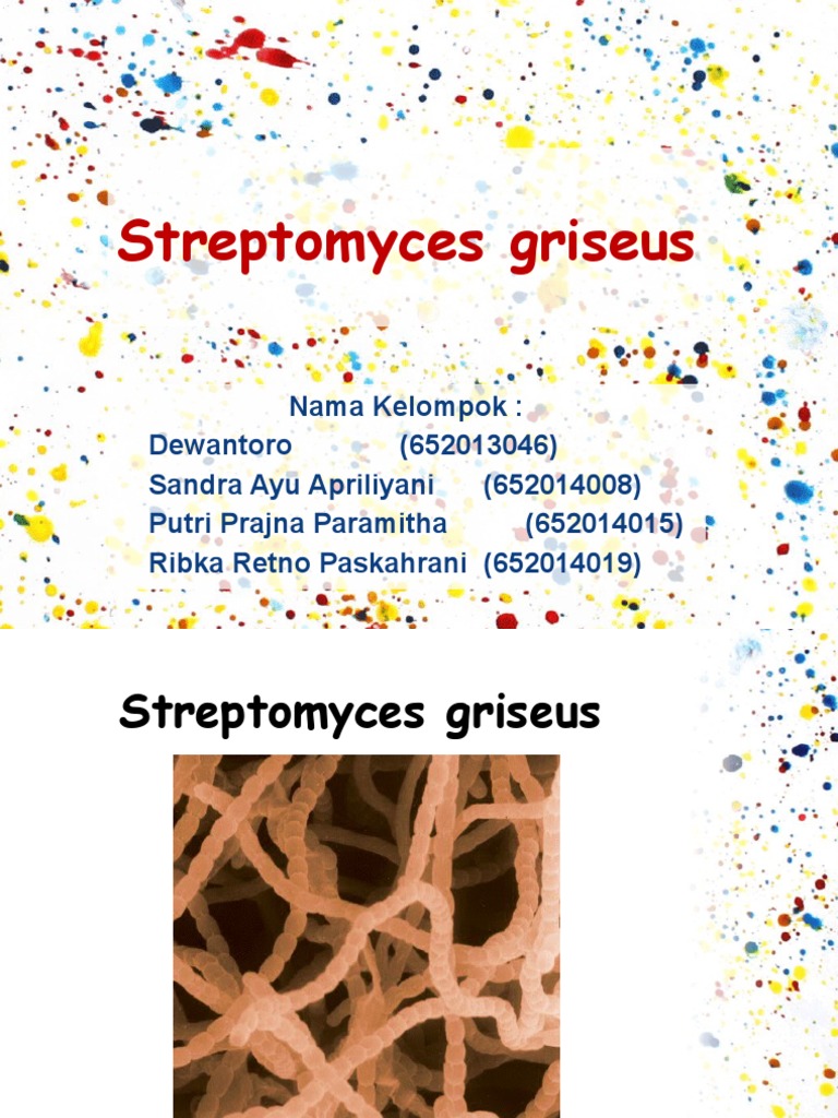 Streptomyces Griseus | PDF