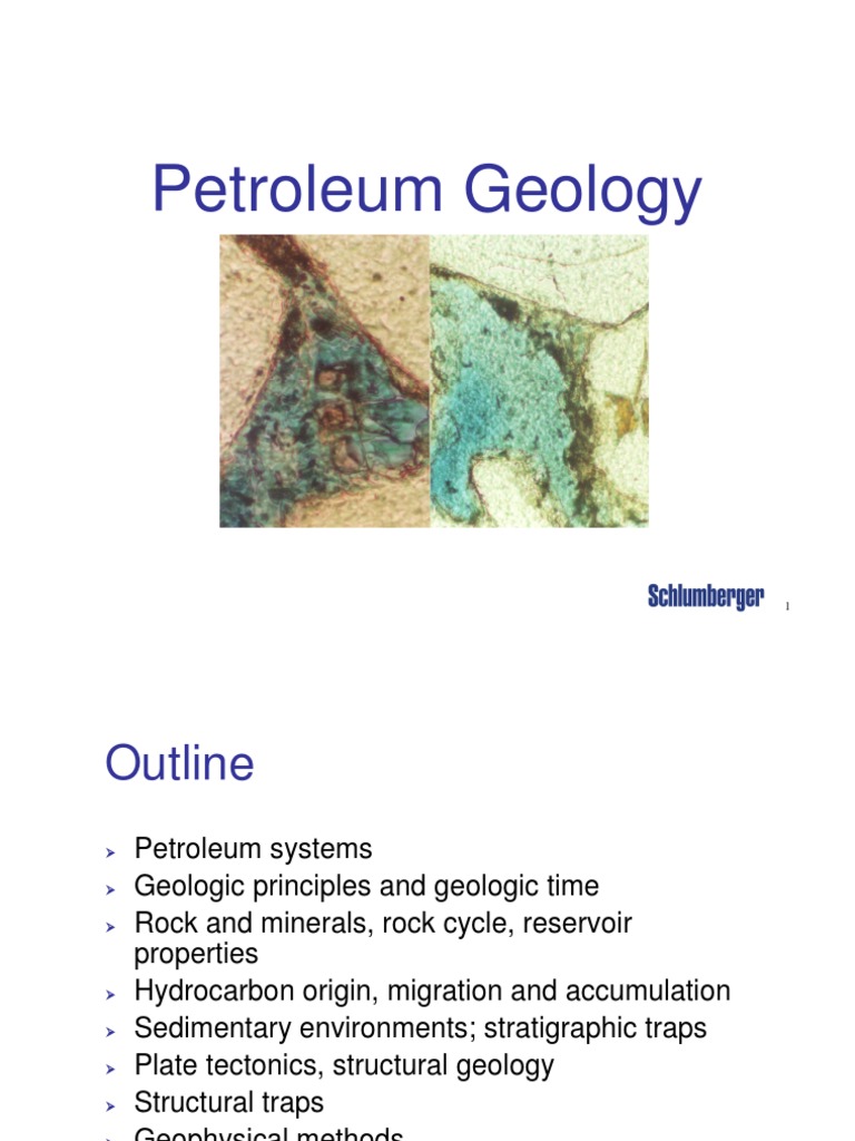 Essentials of Petroleum Geology | PDF | Sedimentary Rock | Rock (Geology)