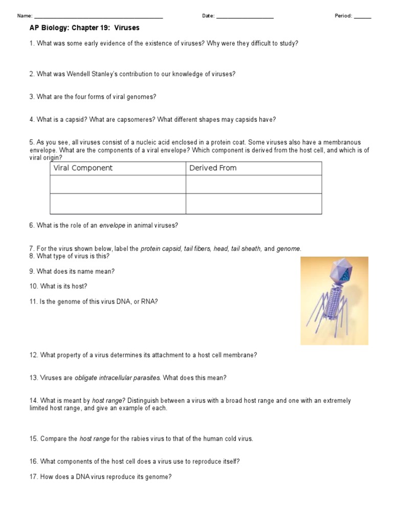Ap Biology CH 19 Reading Guide | PDF | Virus | Bacteriophage