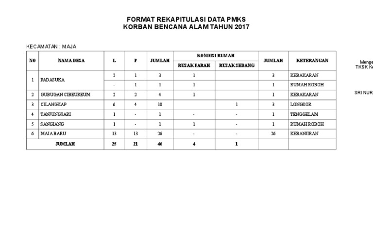 Format Rekapitulasi Data Pmks 2 | PDF