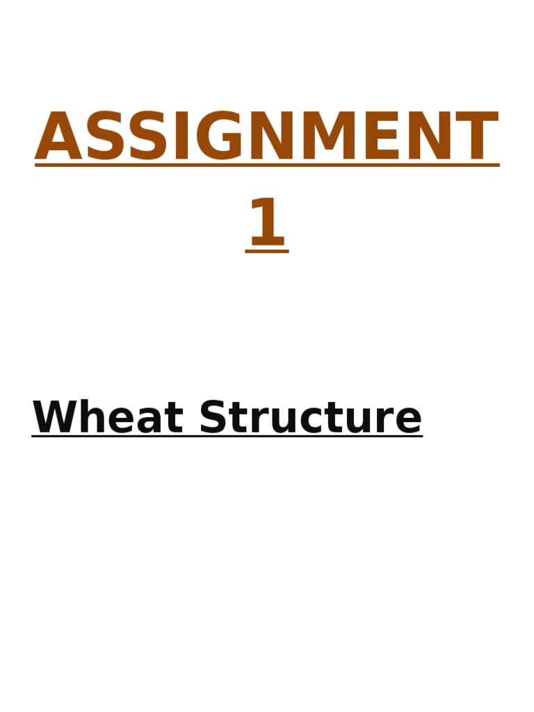 Assignment 1: Wheat Structure | PDF | Wheat | Bran