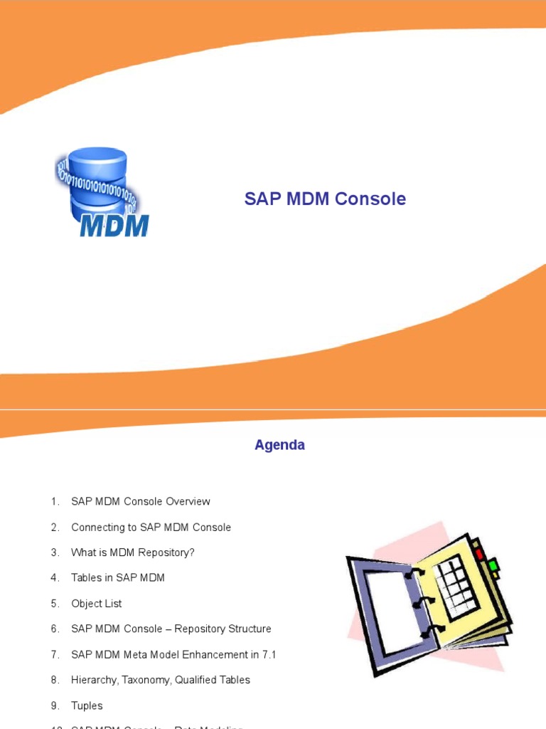 Sap Mdm - Console | Data Model | Data Type