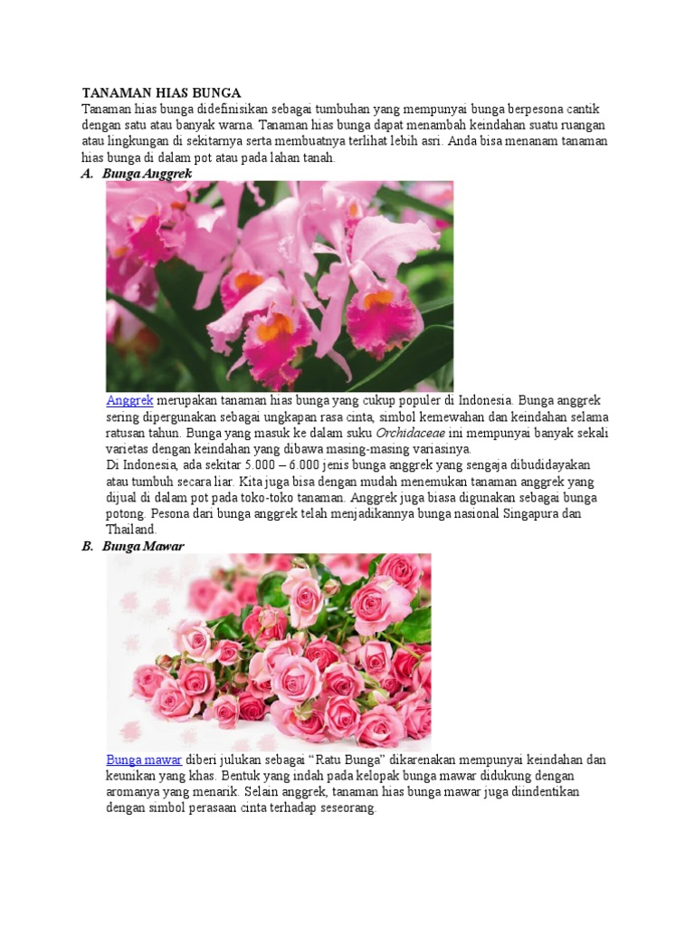 Macam Macam Tanaman Hias | PDF