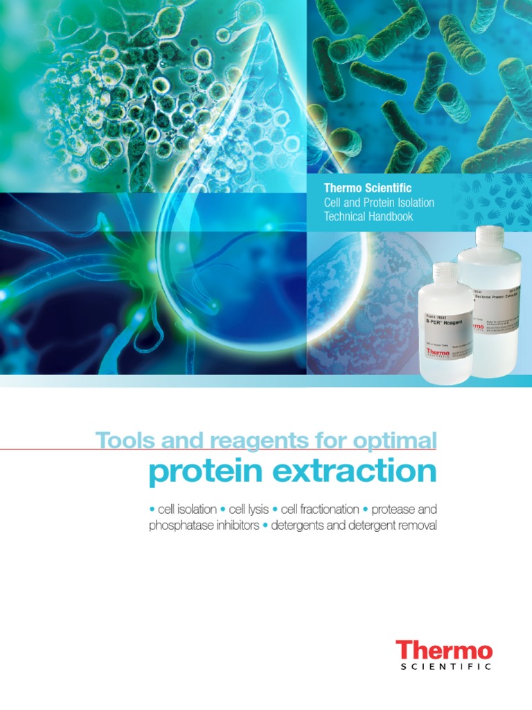 Protein Extraction Technical Handbook | PDF
