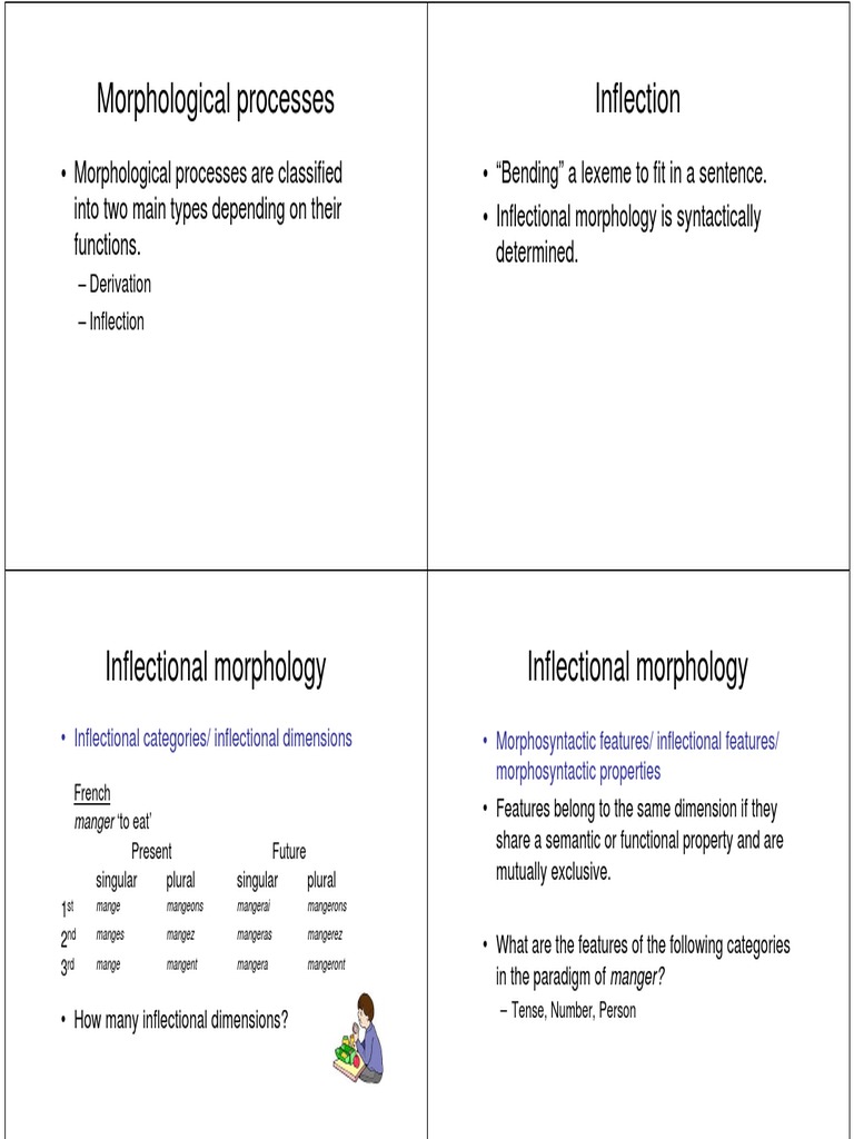 Morphological Processes Inflection | PDF | Morphology (Linguistics ...