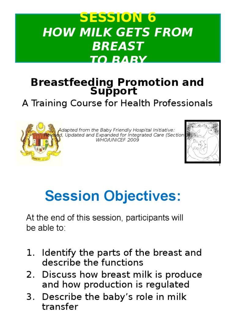 Sesi 6-How Milk Gets From Breast To Baby | PDF