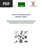 Modelo Roles Equipo Belbin | PDF | Aprendizaje | Mente