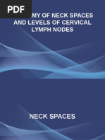 Cervical Lymph Node Mapping Guide | PDF