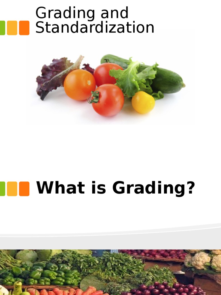 Grading and Standardization | PDF