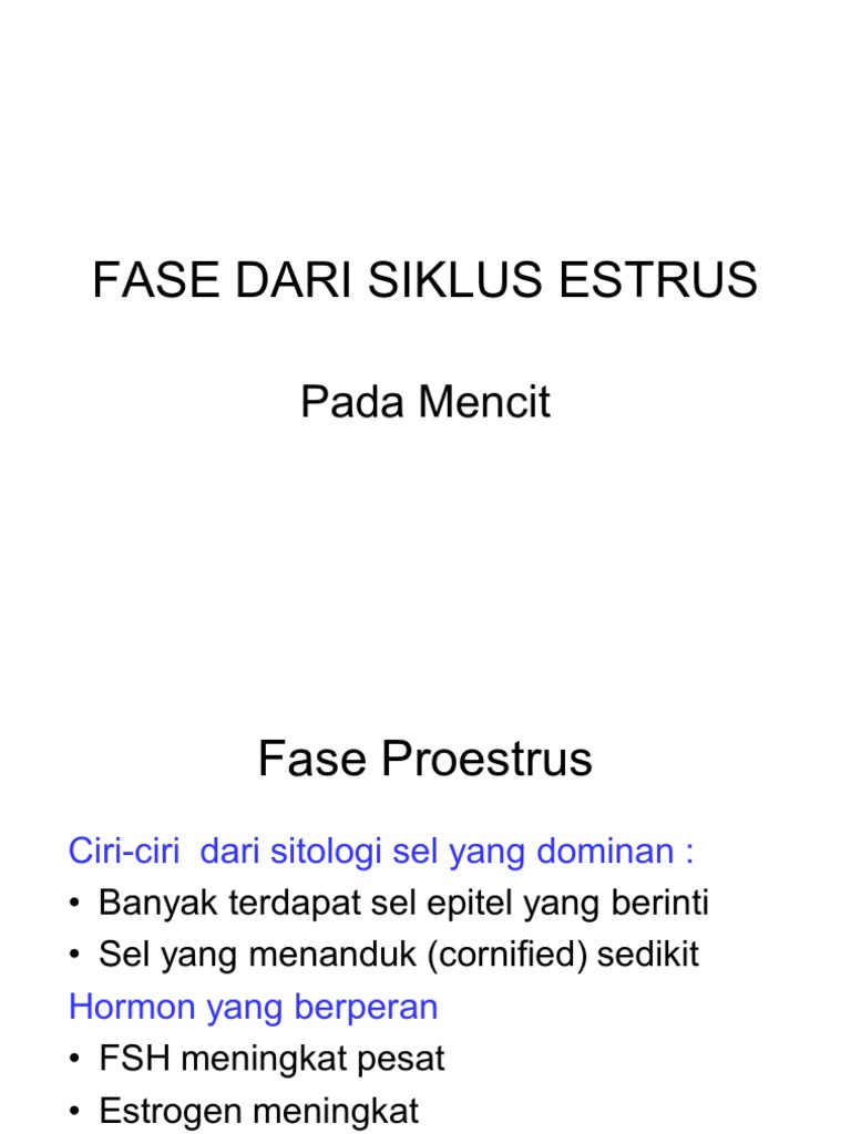 Fase Dari Siklus Estrus | PDF