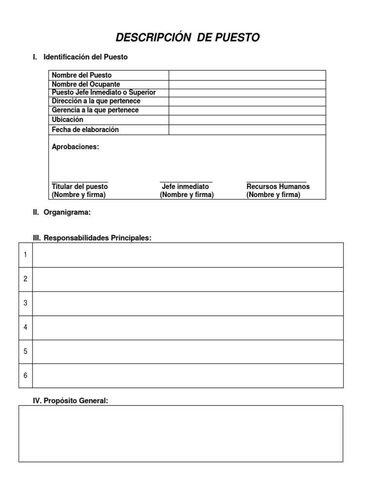 Formato de Descripcion de Puesto | PDF | Recursos humanos | Cognición