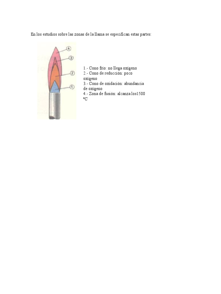 Flama PARTES | PDF