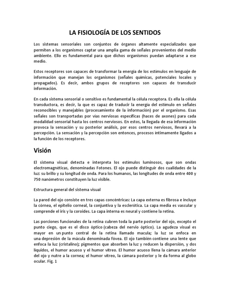 Fisiologia de Los Sentidos PDF | PDF | Oído | Percepción visual