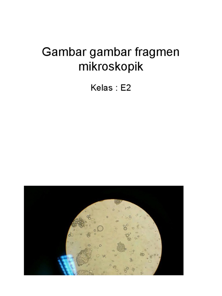 Gambar gambar fragmen mikroskopik simplisia | PDF