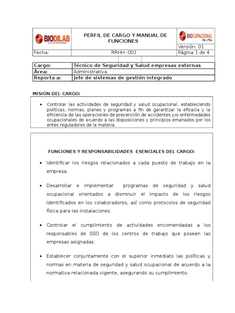 Perfil de Cargos Tecnico Sso | PDF