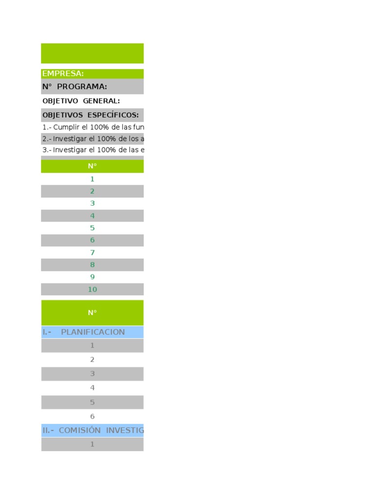 Formato Tipo Programa de Trabajo Comite Paritario | PDF