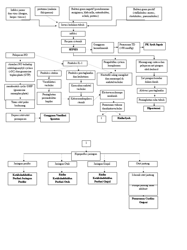 Patofisiologi dan Pathway Sepsis | PDF