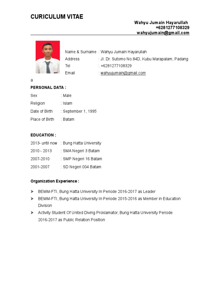 CV KP English Jumain | PDF
