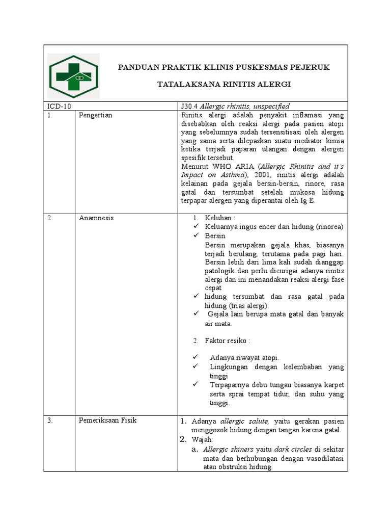 PPK Rinitis Alergi | PDF