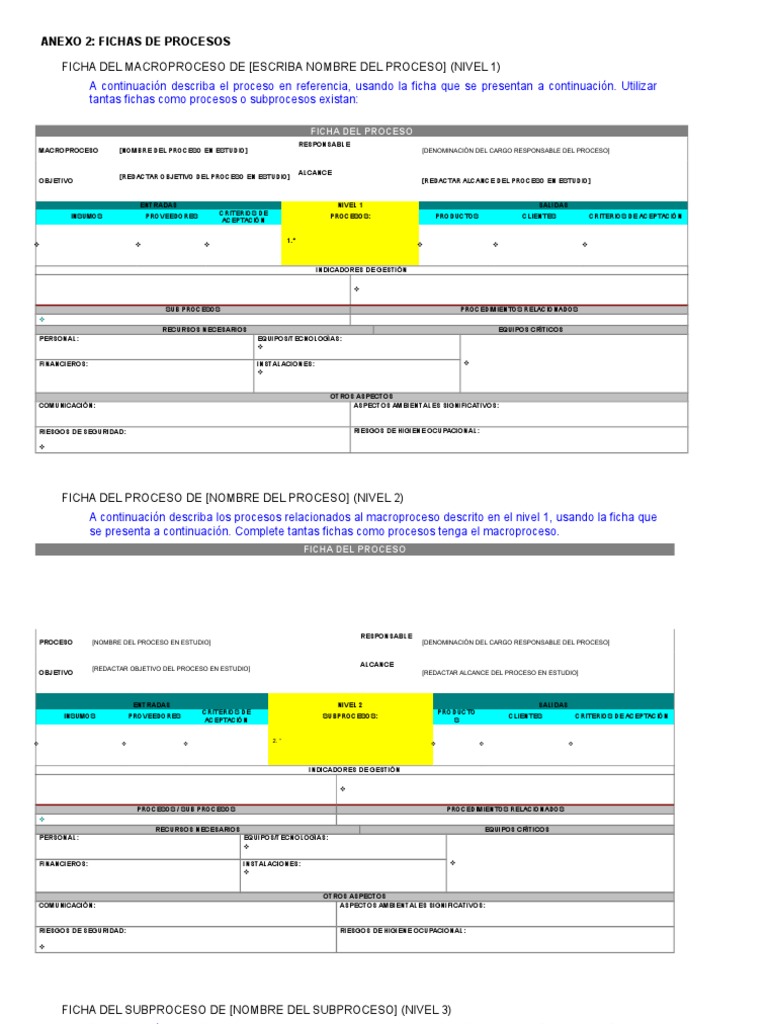 Plantilla de Documentos de La Calidad Ficha de Proceso 2