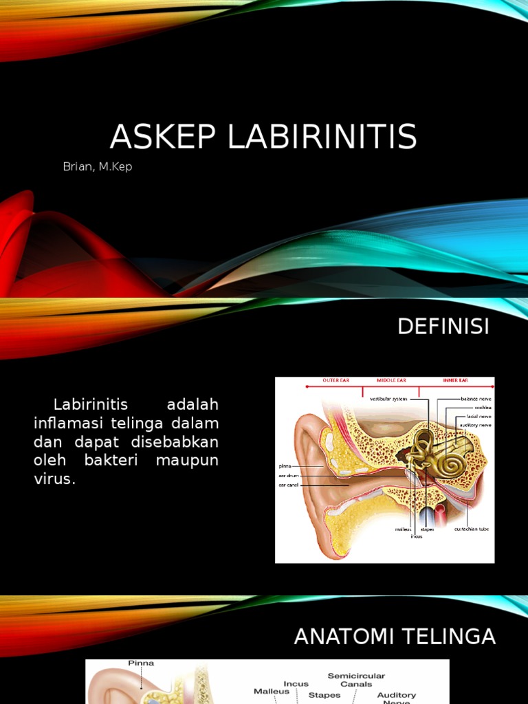Panduan Keperawatan Labirinitis | PDF | Kesehatan Holistik | Sains ...