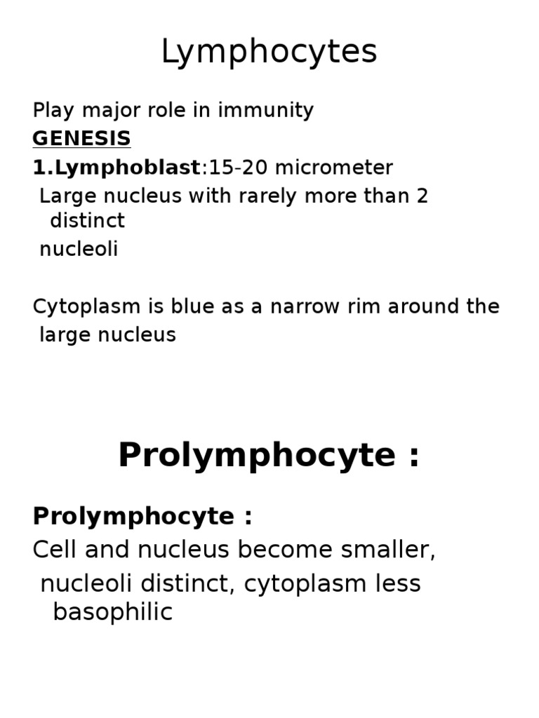 Lymphocytes and Immunity | PDF | Lymphocyte | Immune System
