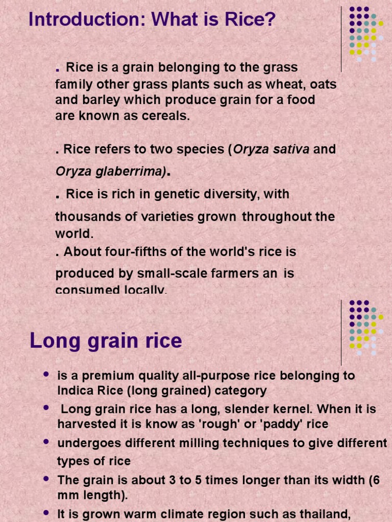 Introduction to Rice Varieties and Processing | PDF | Rice | Cereals