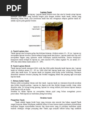 Struktur Lapisan Tanah