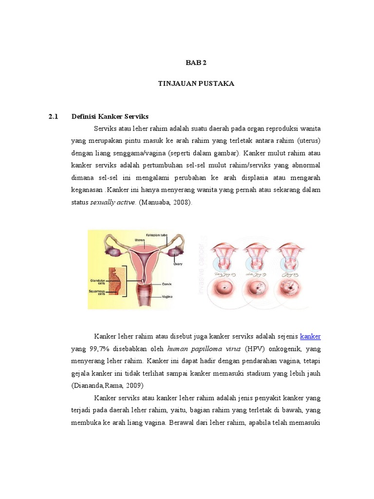 BAB 2 CA Cerviks | PDF