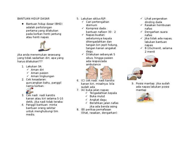 Panduan Bantuan Hidup Dasar | PDF